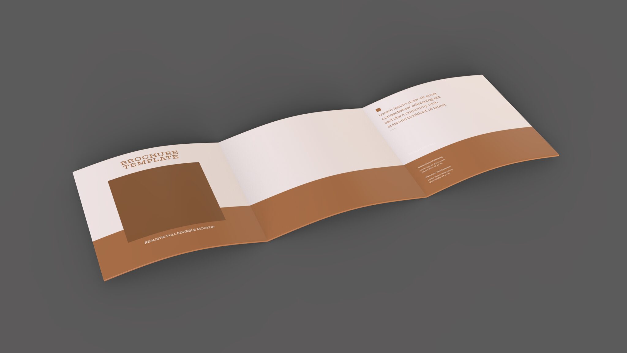 Trifold Brochure 3D Model