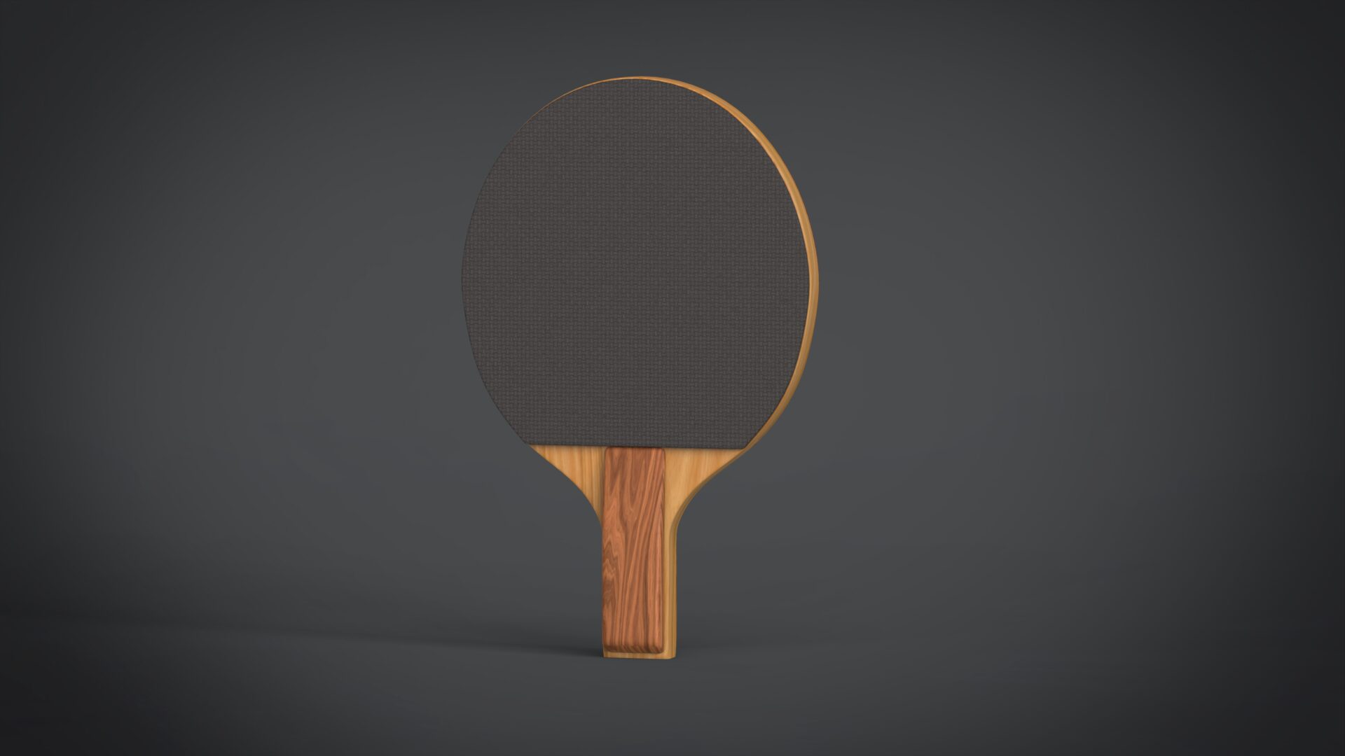 Table Tennis Racket 3D Model